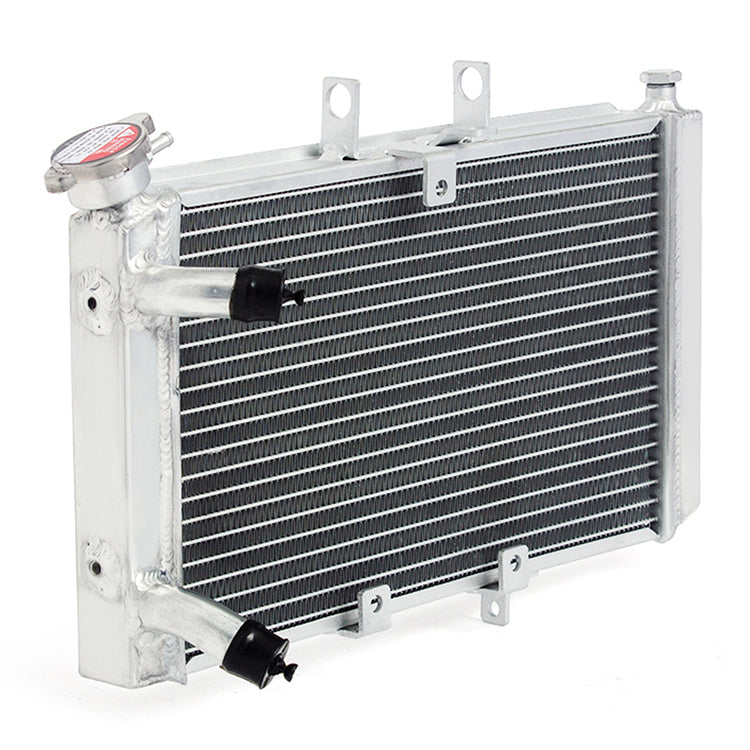Aluminum Watercooler Radiator for Triumph Tiger 800 2010-2017 – golfparts